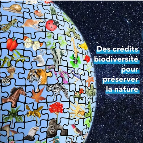 Après les crédits carbone, des crédits biodiversité pour préserver la ...