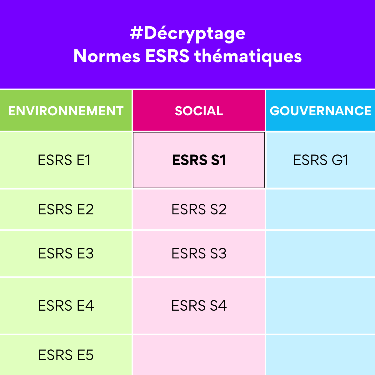 Formation : Social ESRS S1 - Effectifs de l'entreprise