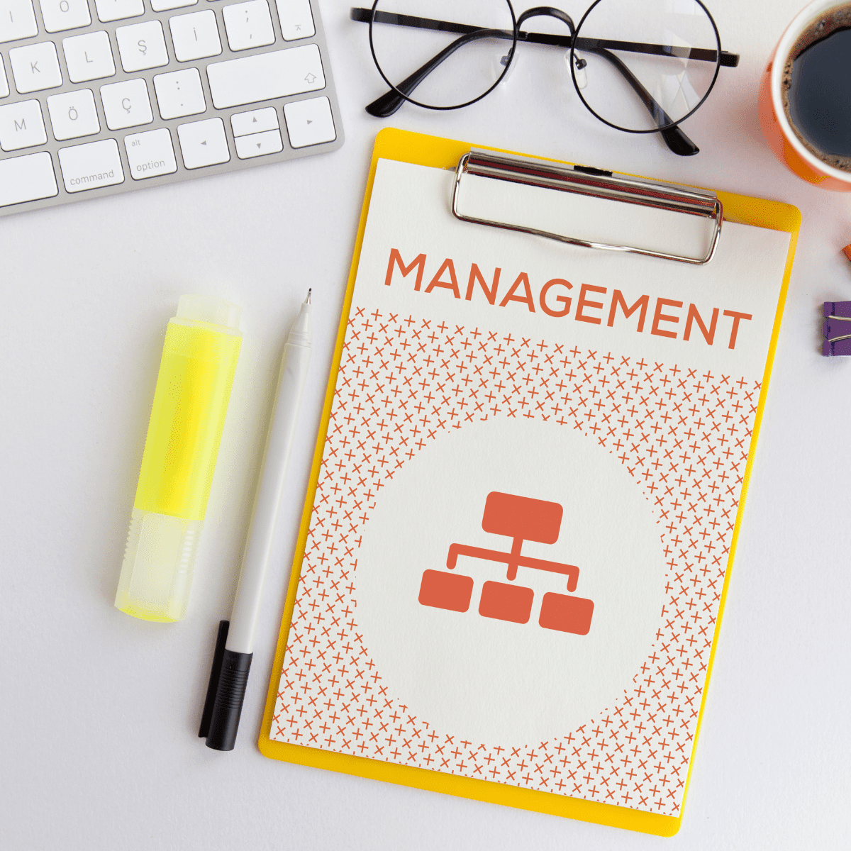 Formation : Management et RSE